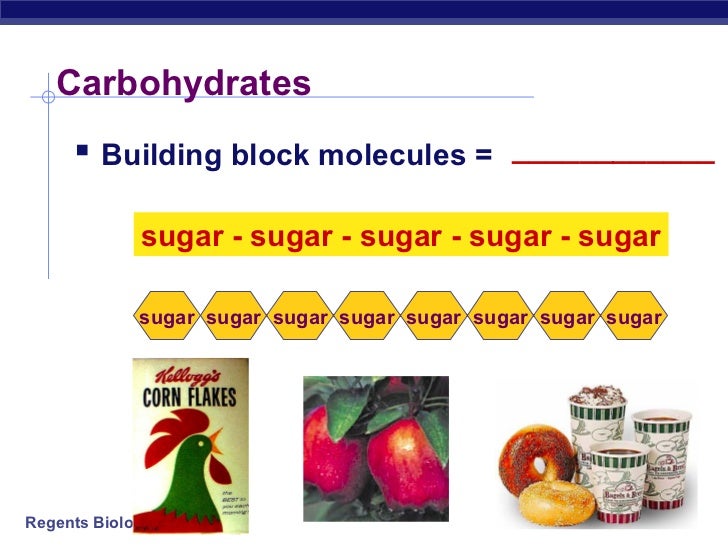 Carbohydrates Definition And List Of All Carbohydrates