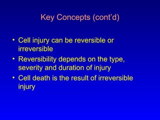 03 cell death and cell injury presentation .ppt