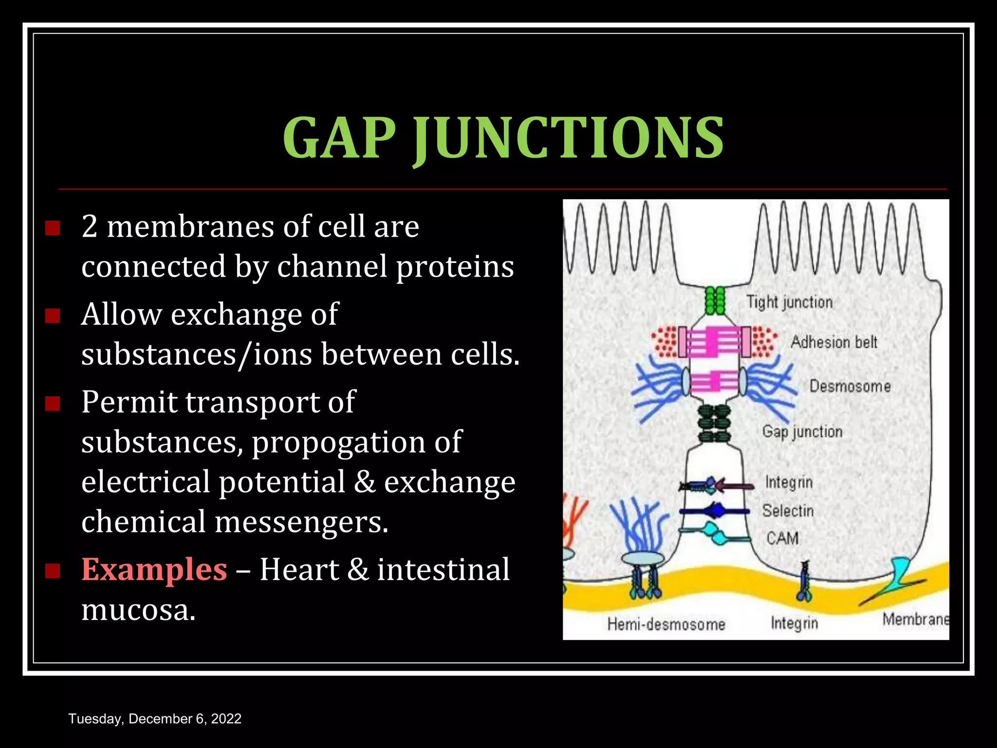 CELL JUNCTIONS.pptx