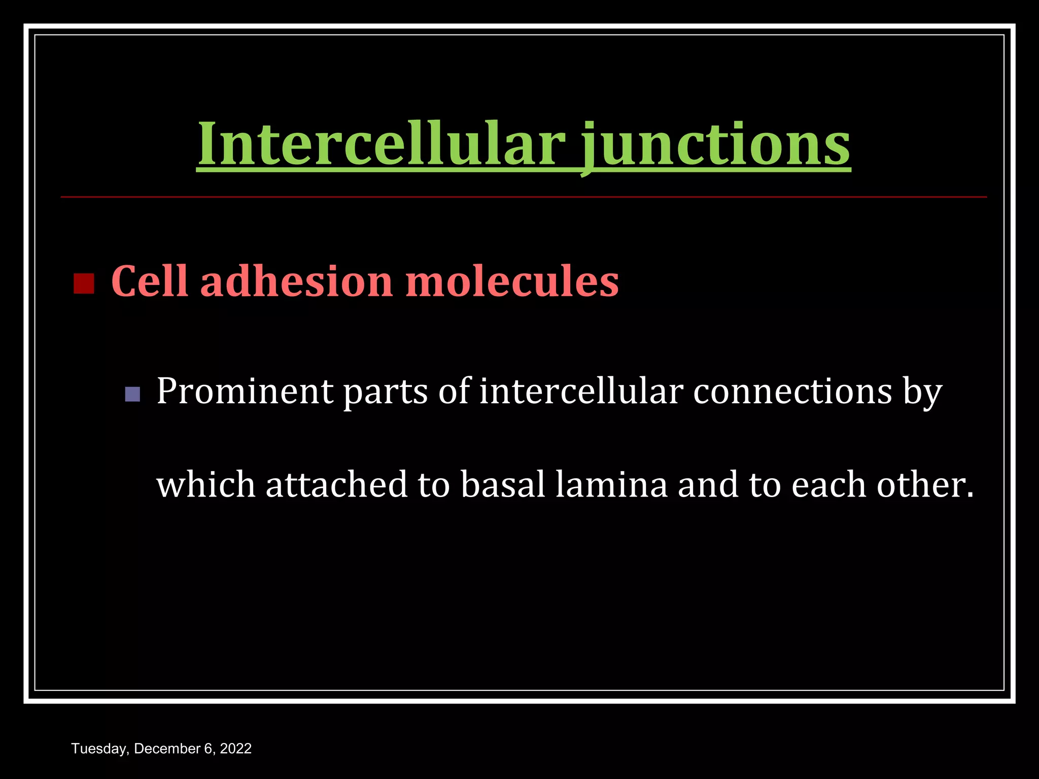 CELL JUNCTIONS.pptx