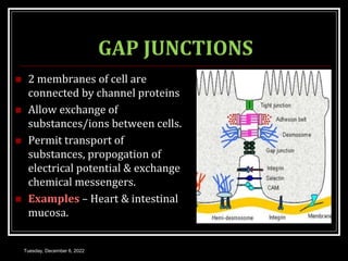 CELL JUNCTIONS.pptx
