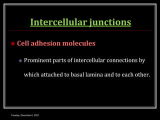 CELL JUNCTIONS.pptx