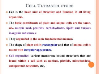 03 Cell Organelles.pdf