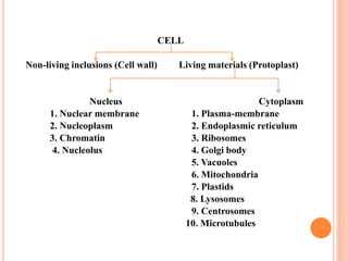 03 Cell Organelles.pdf