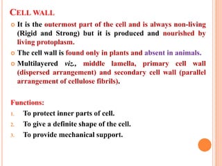 03 Cell Organelles.pdf