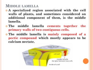 03 Cell Organelles.pdf
