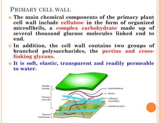 03 Cell Organelles.pdf