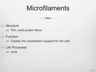 03 cell structure and function | PPT