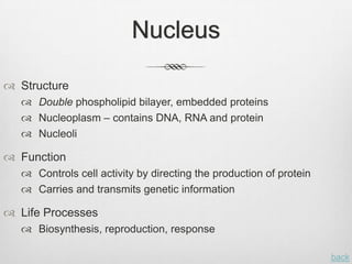 03 cell structure and function | PPT
