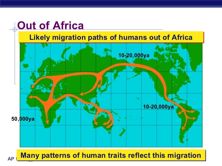 03 ch22selection2008print