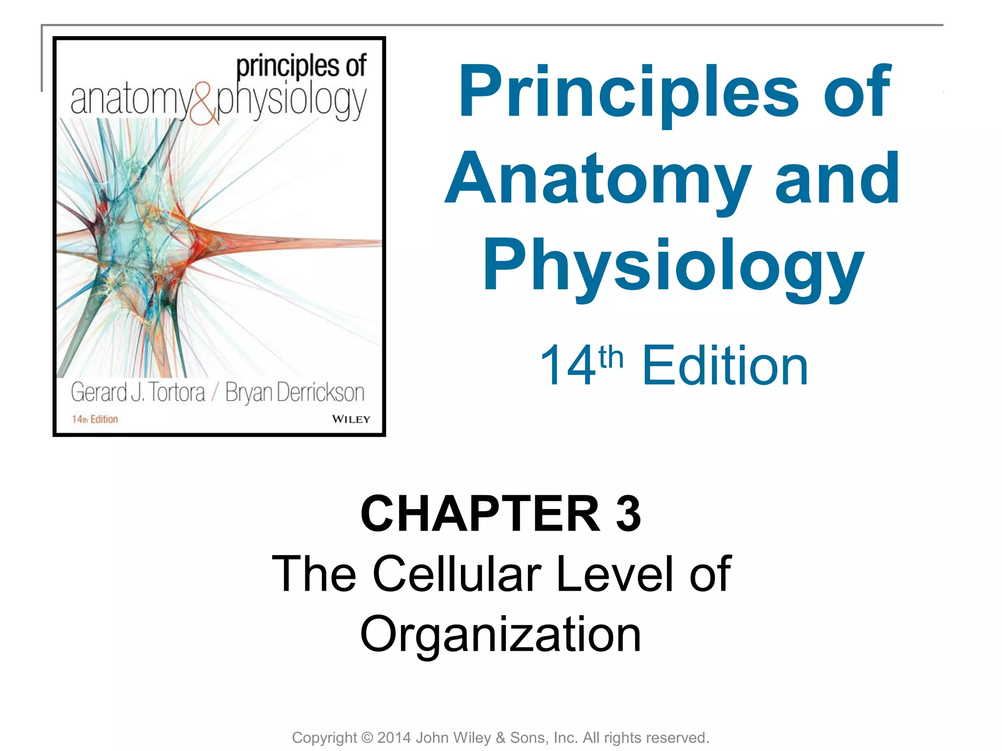 03 [chapter 3 the cellular level of organization] | PPT