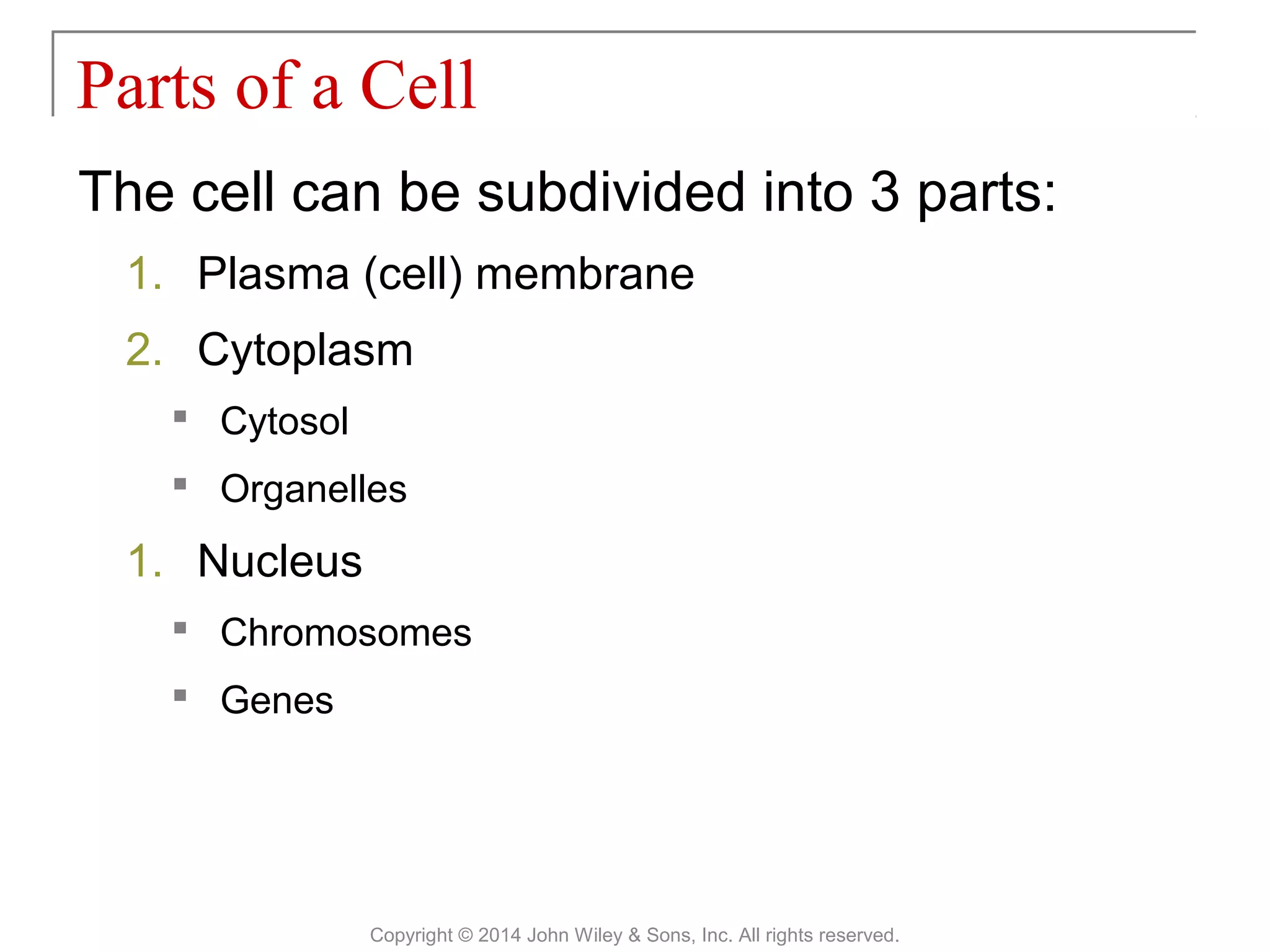 03 [chapter 3 the cellular level of organization] | PPT
