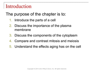 03 [chapter 3 the cellular level of organization] | PPT