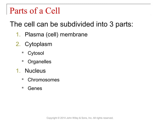 03 [chapter 3 the cellular level of organization] | PPT