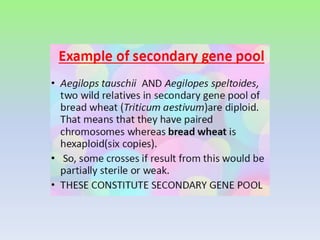 03 concept of gene pools | PDF