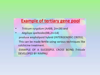 03 concept of gene pools | PDF