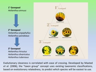 03 concept of gene pools | PDF