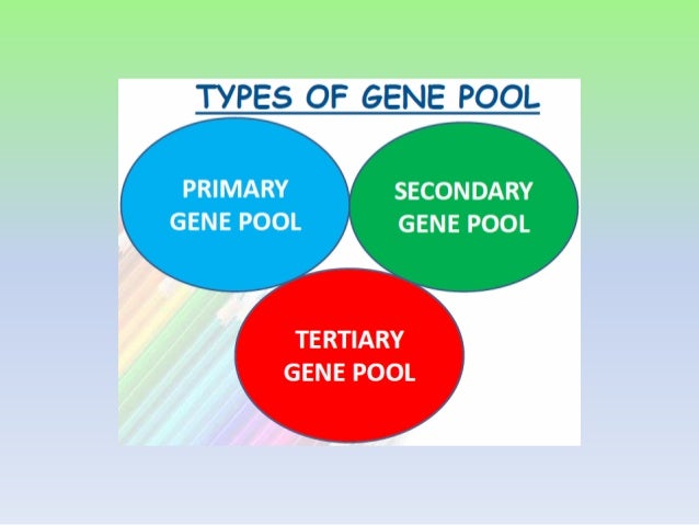03 concept of gene pools