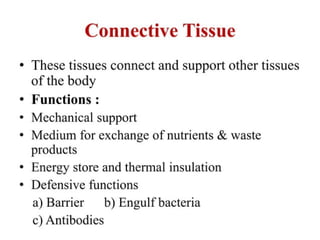 03 Connective Tissue.pptx science gen bio | PPT