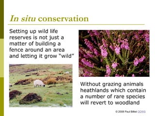Conservation of Biodiversity and environment | PPT