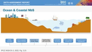 Nature-based solutions for ocean and coastal management | PPTX