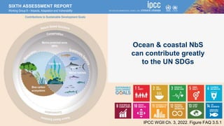 Nature-based solutions for ocean and coastal management | PPTX
