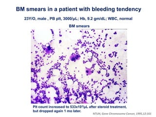 Cytogenetic Analysis in Hematological Malignancies | PPTX