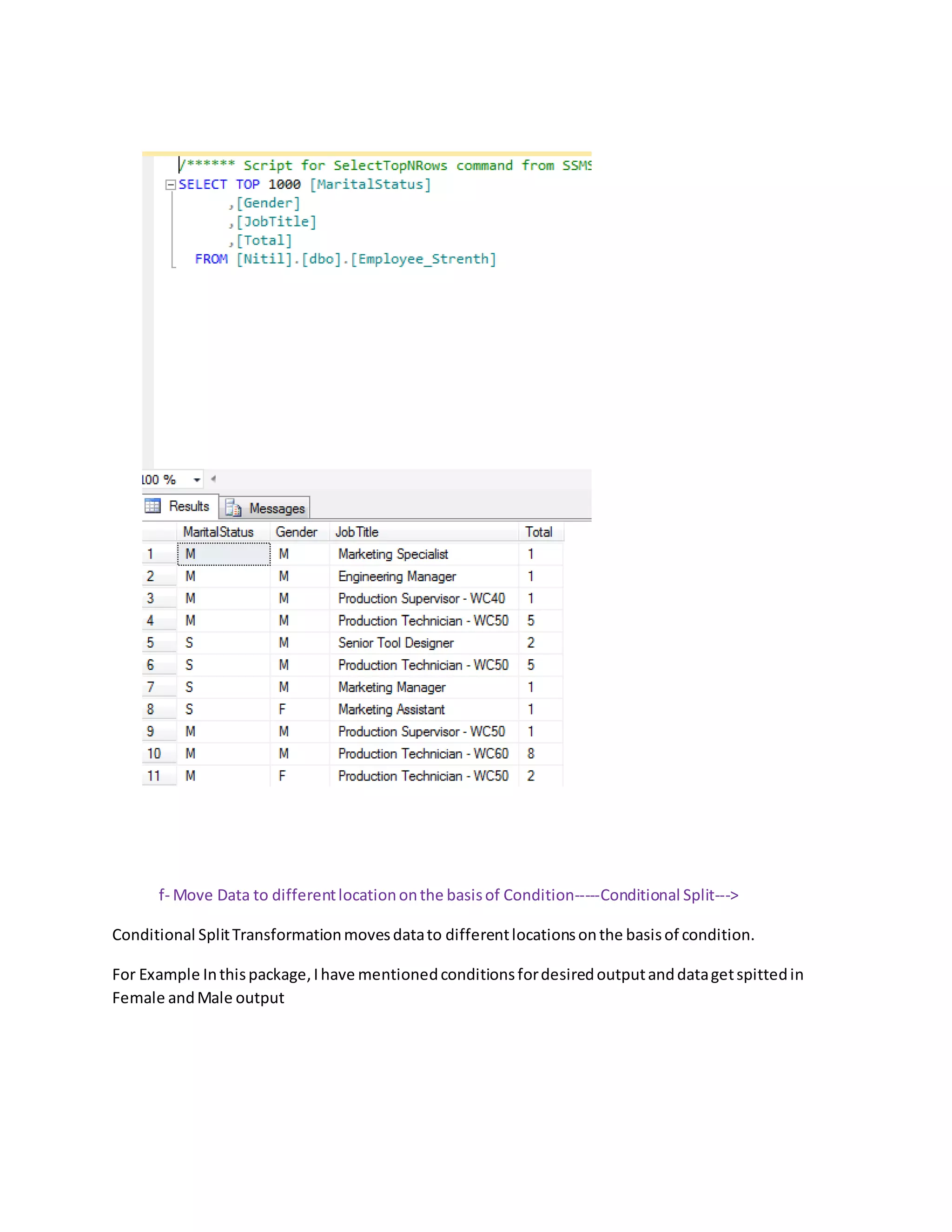 A Complex SSIS Package | DOCX