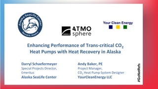Enhancing performance of transcritical CO2 heat pumps with heat ...