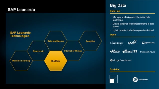 SAP LEONARDO SAP LEONARDO the digital digital innovation innovation ...
