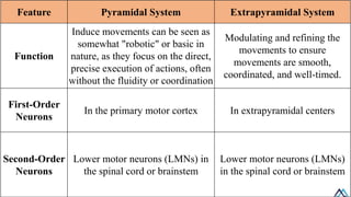 Descending pathway / Descending pathway.pdf