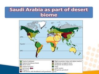 03 desert biome | PPT