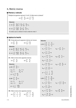 Determinantes - Ejercicios | PDF