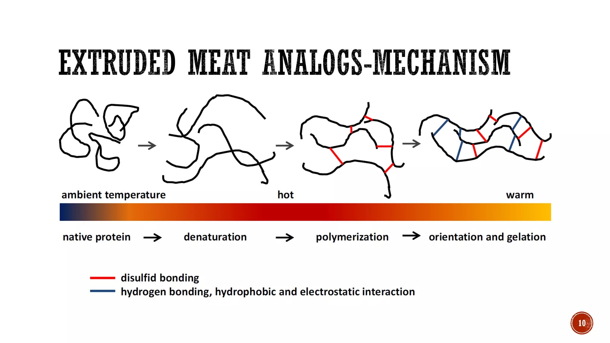 Development in Plant Proteins Production of Meat Analog using textured protein from full fat soy ...