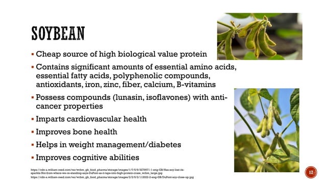 Development in Plant Proteins Production of Meat Analog using textured protein from full fat soy ...