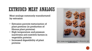Development in Plant Proteins Production of Meat Analog using textured ...