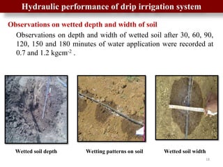 Drip Irrigation System 03 | PPTX | Agriculture | Industries