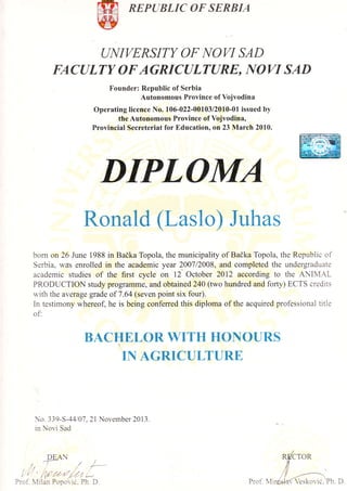 Diploma | PDF | Undergraduate Education | College Education
