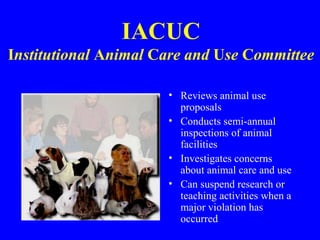 Research Methods: Ethics II (Animal Research) | PPT