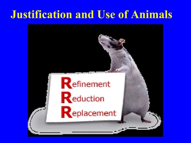 Research Methods: Ethics II (Animal Research) | PPT | Veterinary ...