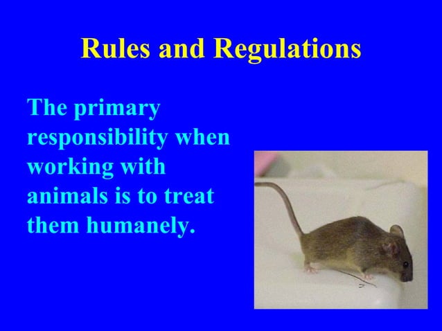 Research Methods: Ethics II (Animal Research) | PPT | Veterinary ...