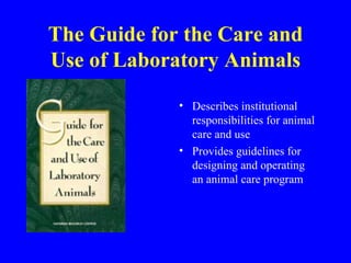 Research Methods: Ethics II (Animal Research) | PPT