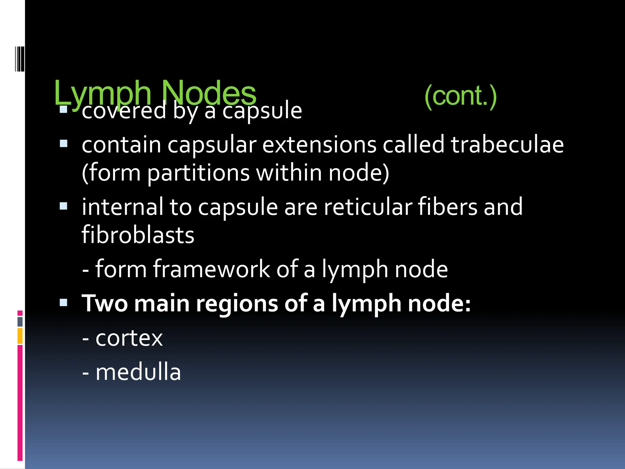 03 Functional anatomy of lymphatic system.ppt