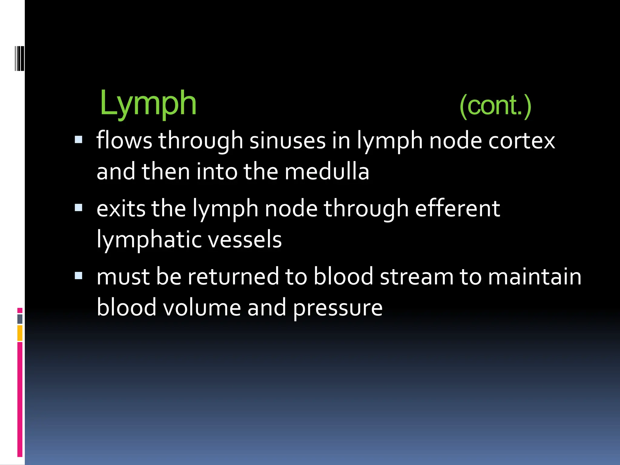 03 Functional anatomy of lymphatic system.ppt