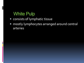 03 Functional anatomy of lymphatic system.ppt