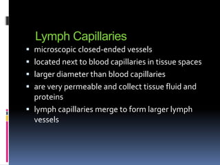 03 Functional anatomy of lymphatic system.ppt