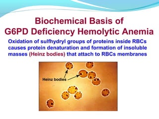 03 g6 pd deficiency | PPT