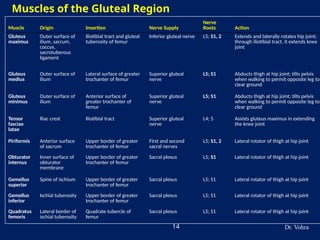03 Gluteal Region(Buttocks) intergl.pptx