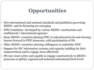 Ensuring Free, Prior and Informed Consent (FPIC) in REDD+ | PPT