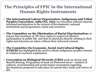 Ensuring Free, Prior and Informed Consent (FPIC) in REDD+ | PPT